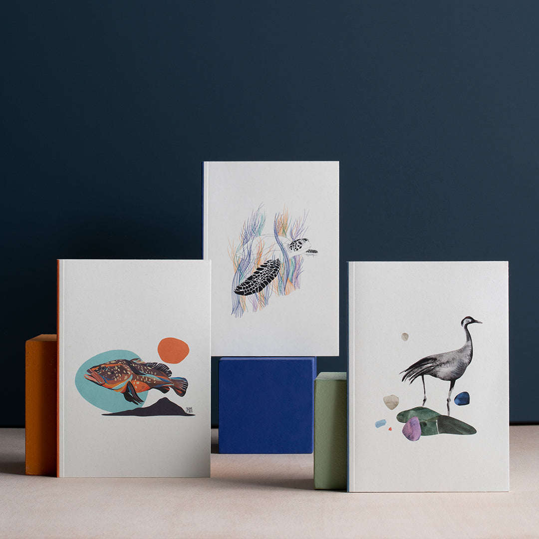 WWF Market | Paper Street
